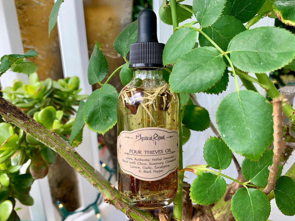 FOUR THIEVES Oil – MysticalRitual